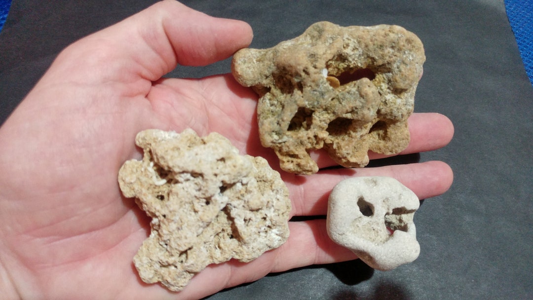 Fulgurites, Funny Rocks, Collectable Rocks, Minerals, Funny Gifts for ...