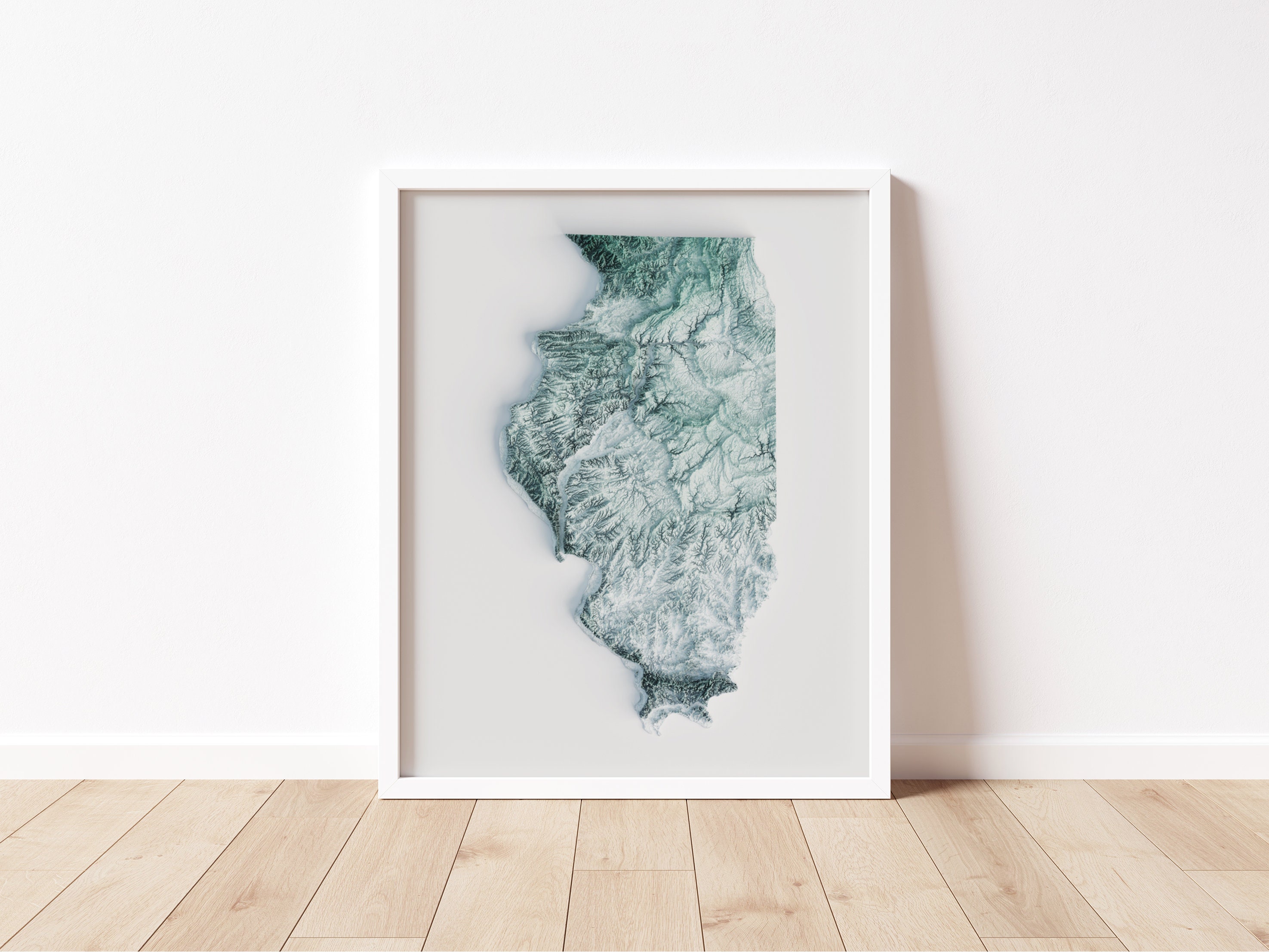 Modern Illinois Relief Map - Etsy
