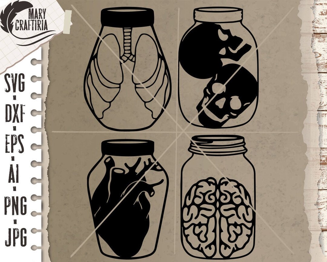Anatomy Clipart Svg Dxf Svg, Dxf, Eps, Cut File Svg, Digital Files ...