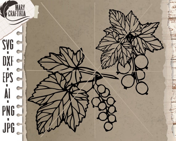 Currant svg dxf cut files svg cut file svg dxf eps Files | Etsy