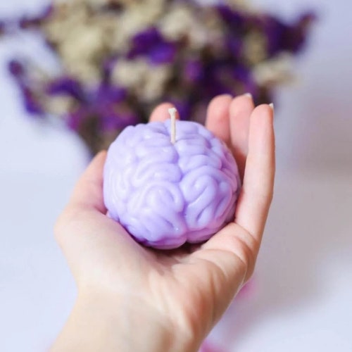 Human Brain Candle in Skull Candle Holder Color Brain - Etsy