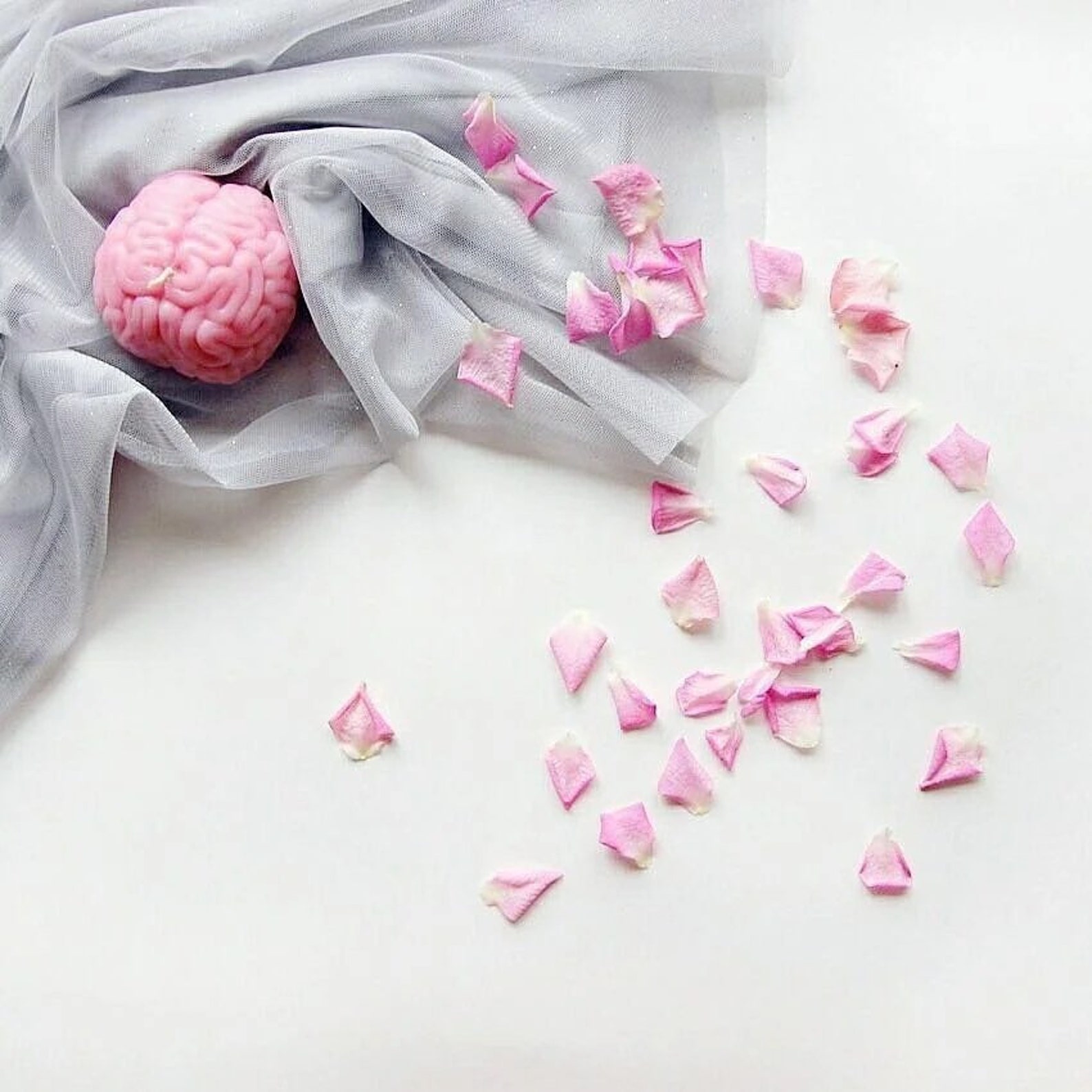 Human Brain Candle in Skull Candle Holder, Color Brain Candles - Etsy