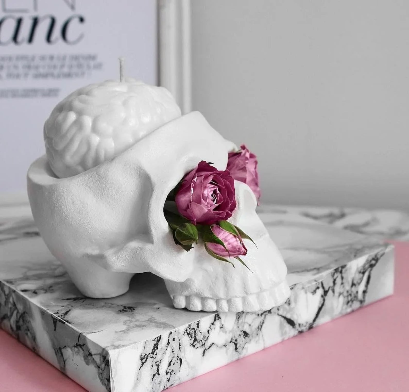 Human Brain Candle in Skull Candle Holder | Set of Two Brains in Skull ...