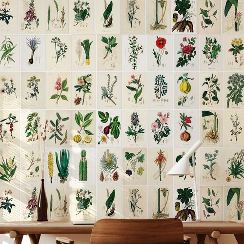 100 Printable Botanical ILLUSTRATIONS Wall Collage Kit - Etsy