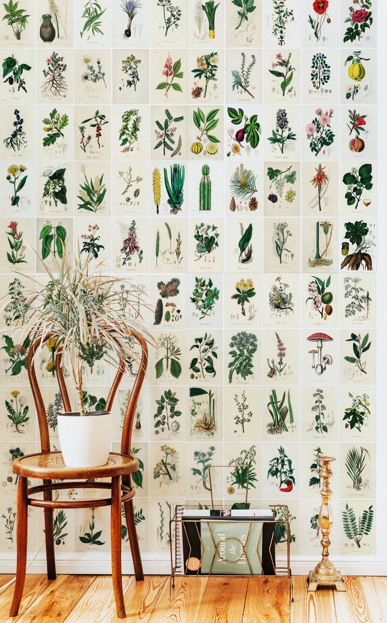 100 Printable Botanical ILLUSTRATIONS Wall Collage Kit - Etsy