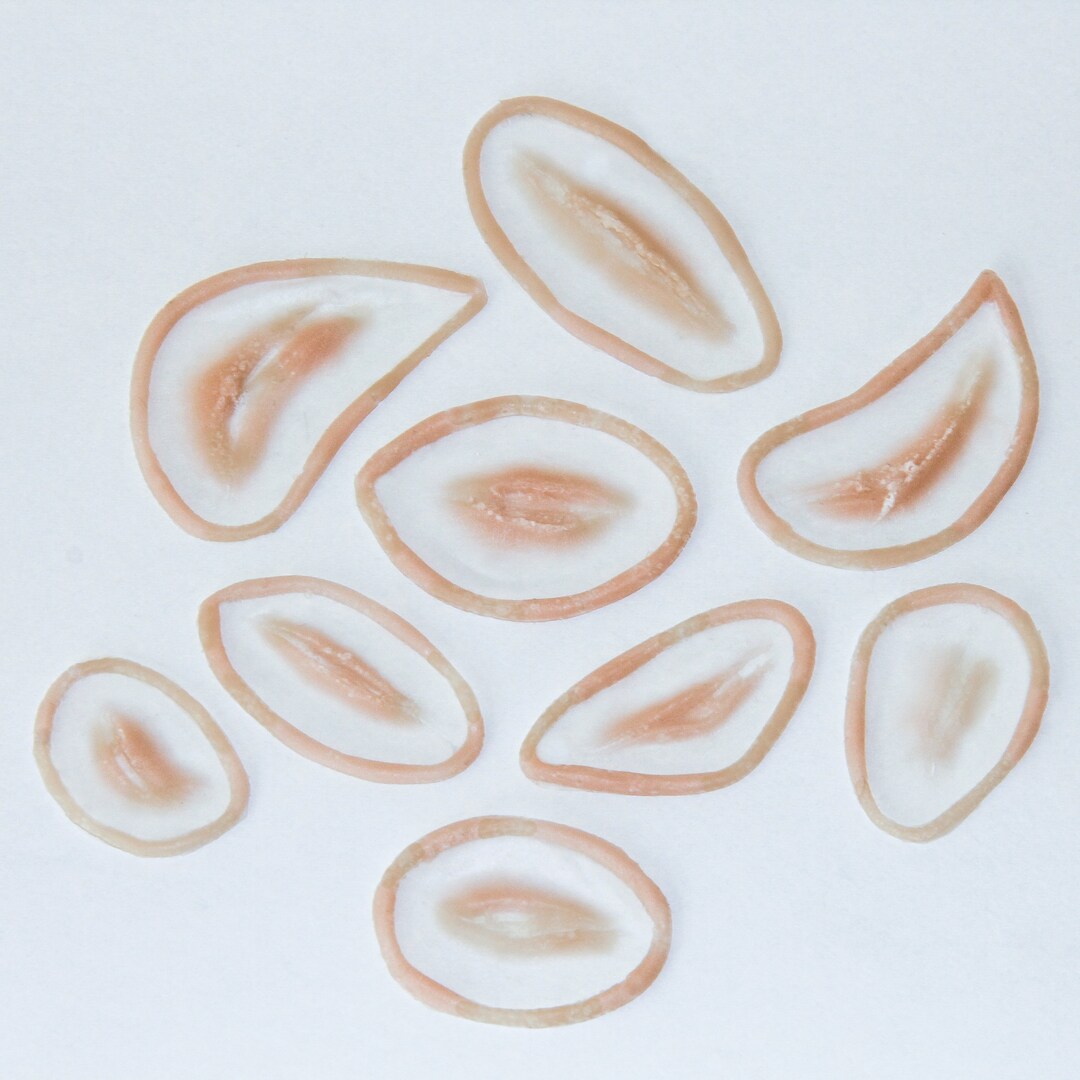9x Assorted Small Cuts SFX Silicone Prosthetic Makeup Includes Adhesive ...