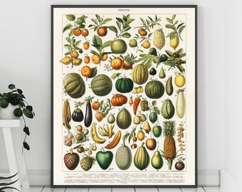 Vintage Fruit Poster - Etsy