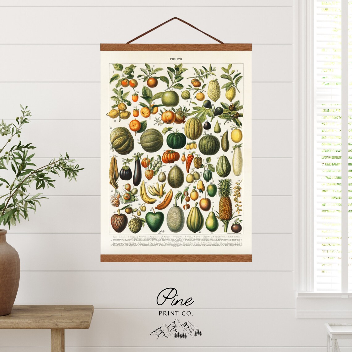 Vintage Fruit Poster Fruit Print Fruit Wall Art Vintage | Etsy