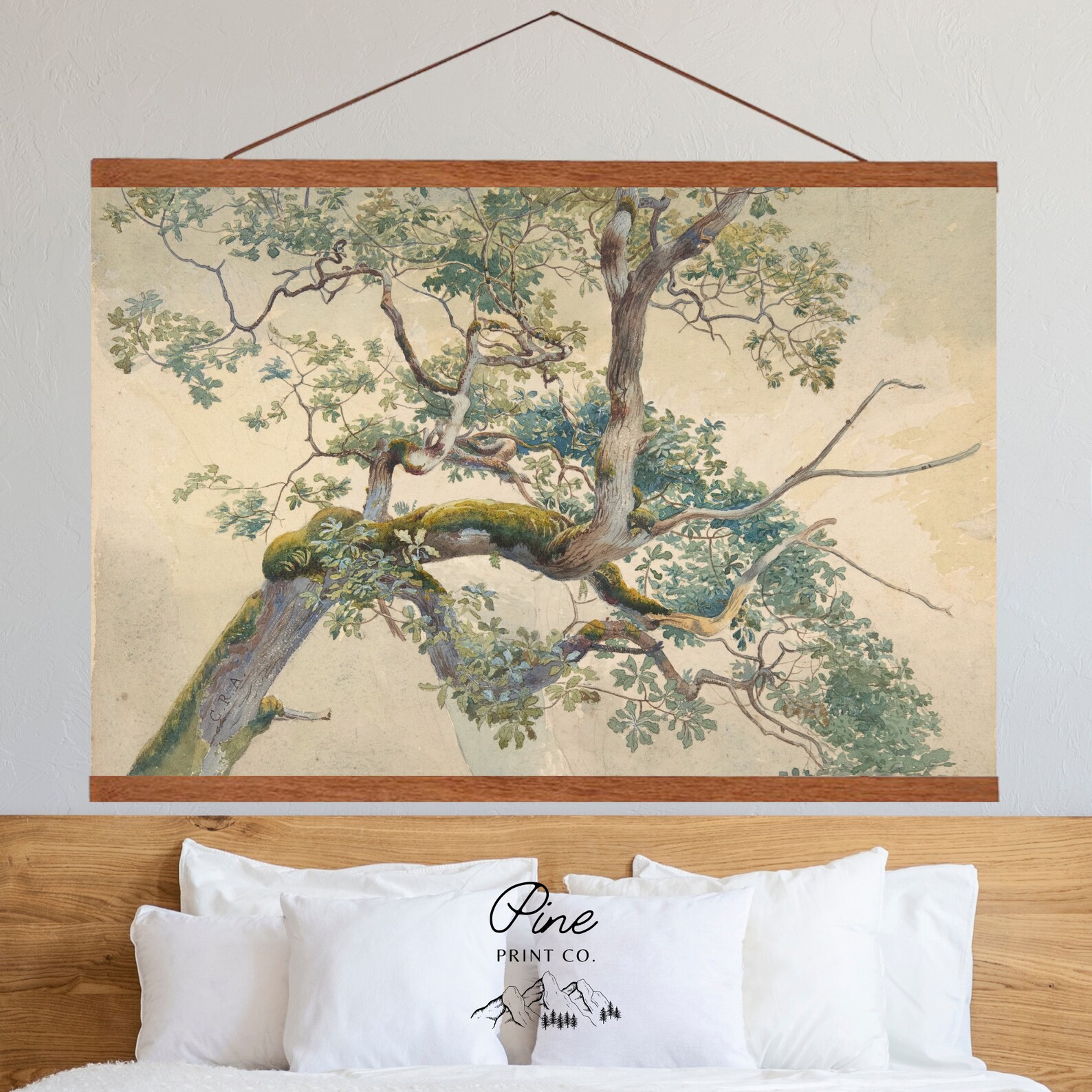 Tree Print, Tree Poster, Vintage Tree, Botanical Print, Nature Wall Art ...