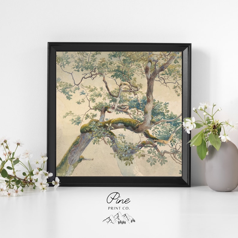Tree Print, Tree Poster, Vintage Tree, Botanical Print, Nature Wall Art ...
