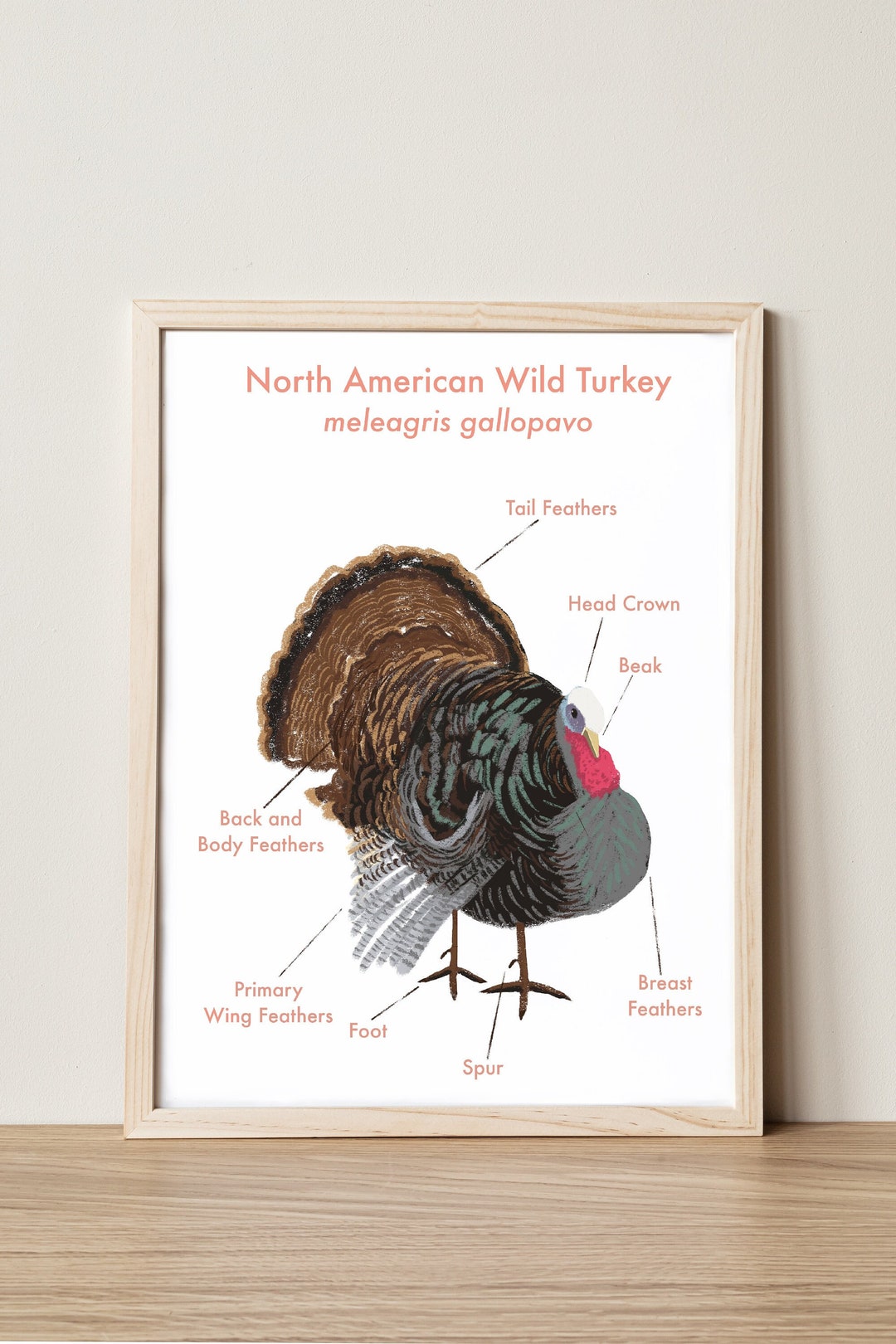 Wild Turkey - Holiday Printable, Digital Download, Drawing Print ...