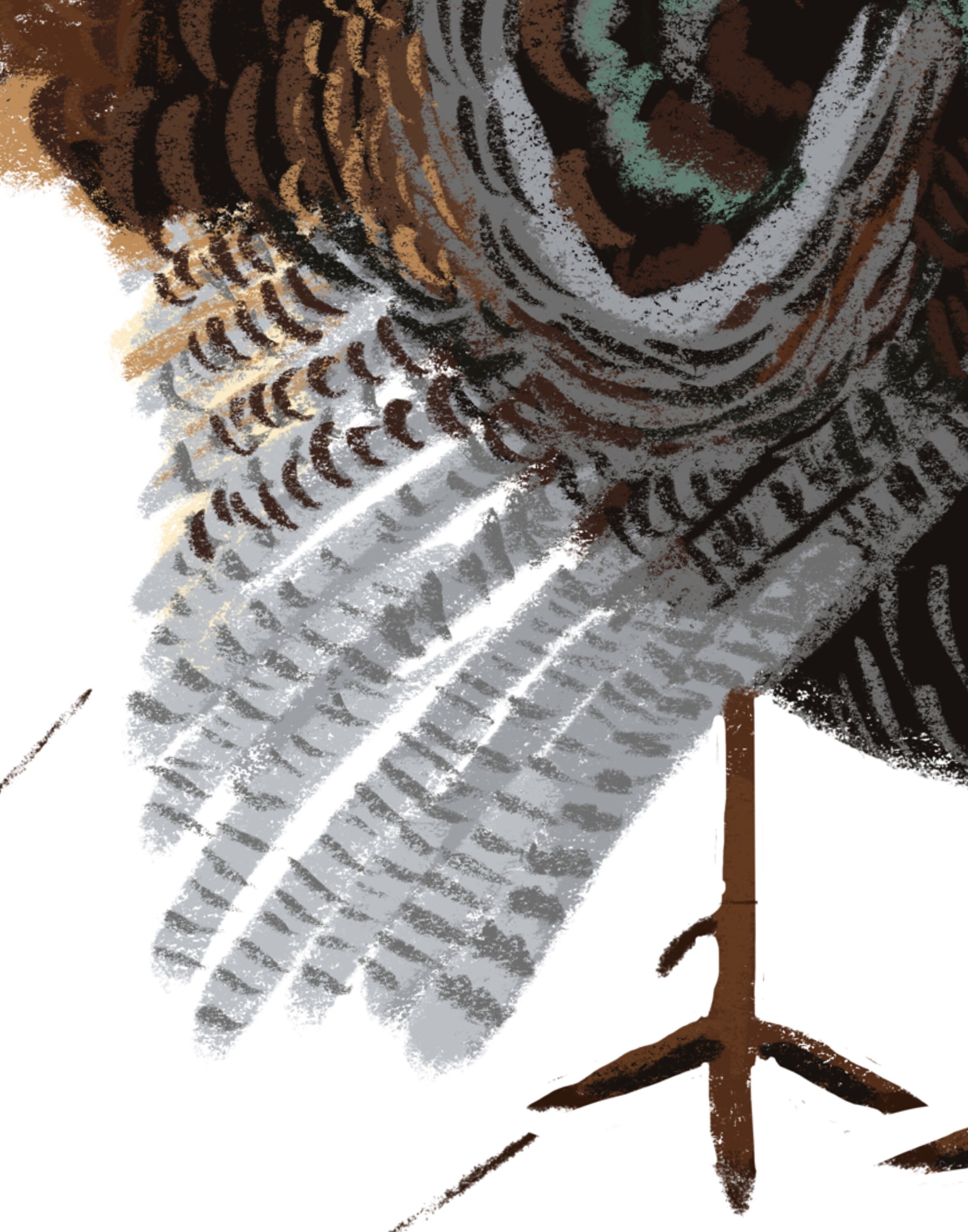 Wild Turkey - Holiday Printable, Digital Download, Drawing Print ...