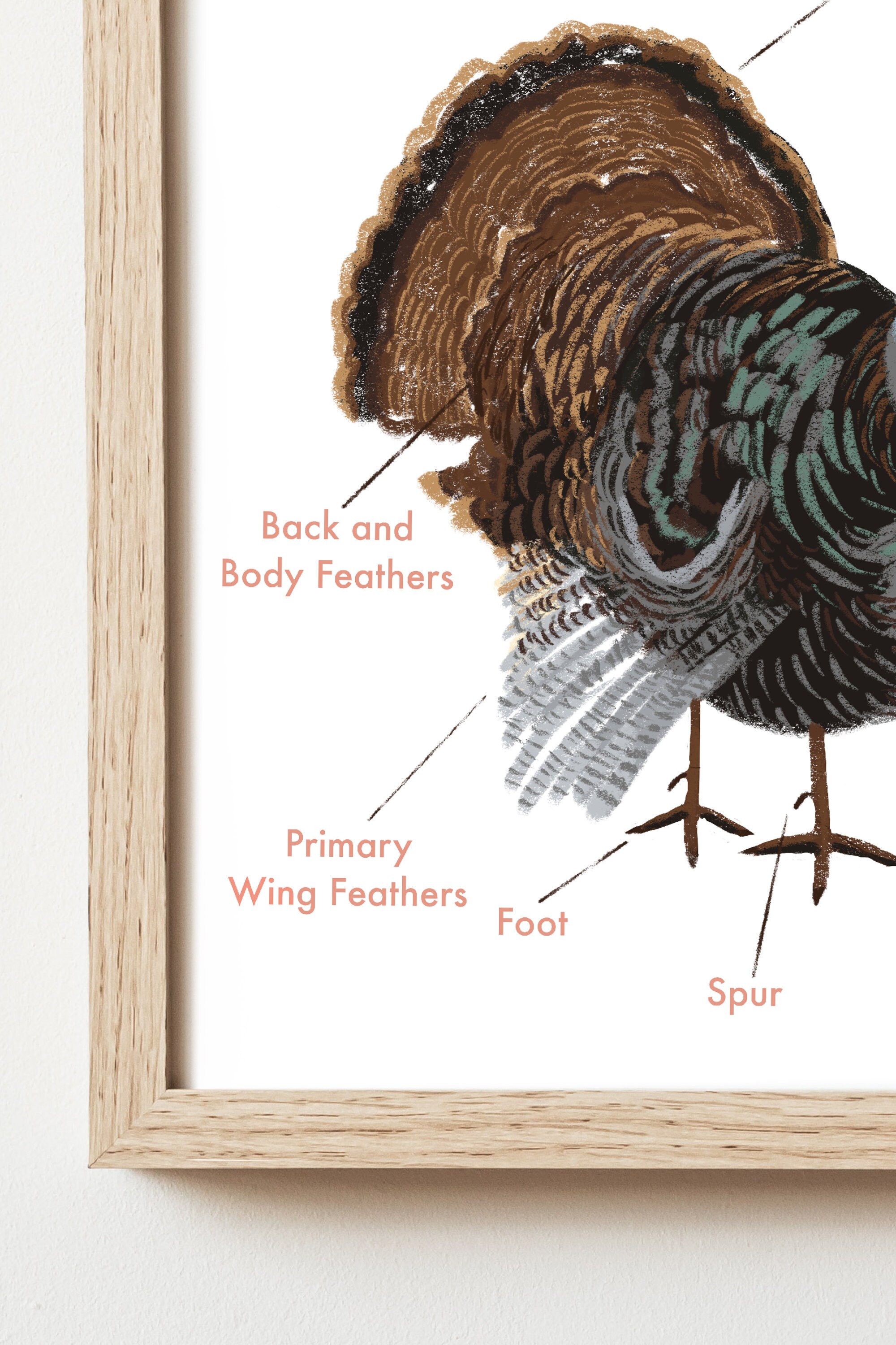 Wild Turkey - Holiday Printable, Digital Download, Drawing Print ...
