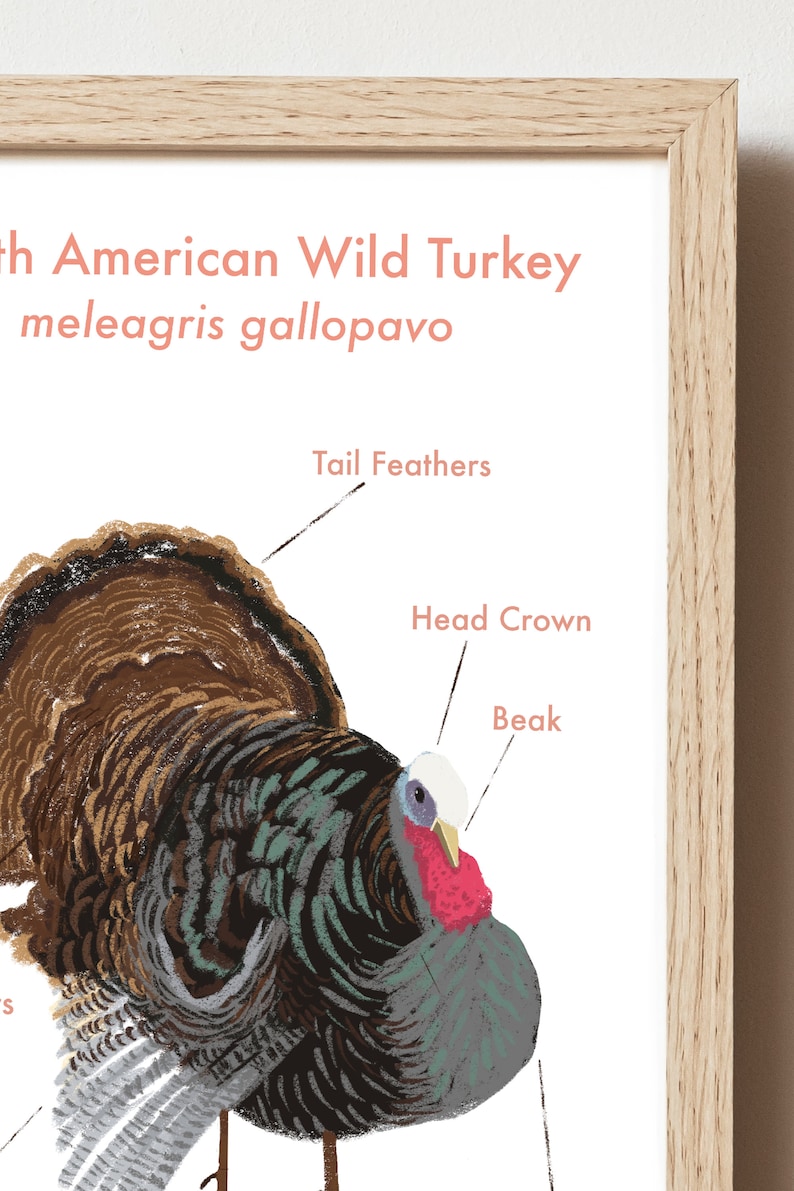 Wild Turkey - Holiday Printable, Digital Download, Drawing Print ...