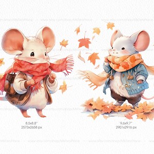 Cute Fall Mouse PNG Clipart. Autumn Sublimation Designs, Digital ...