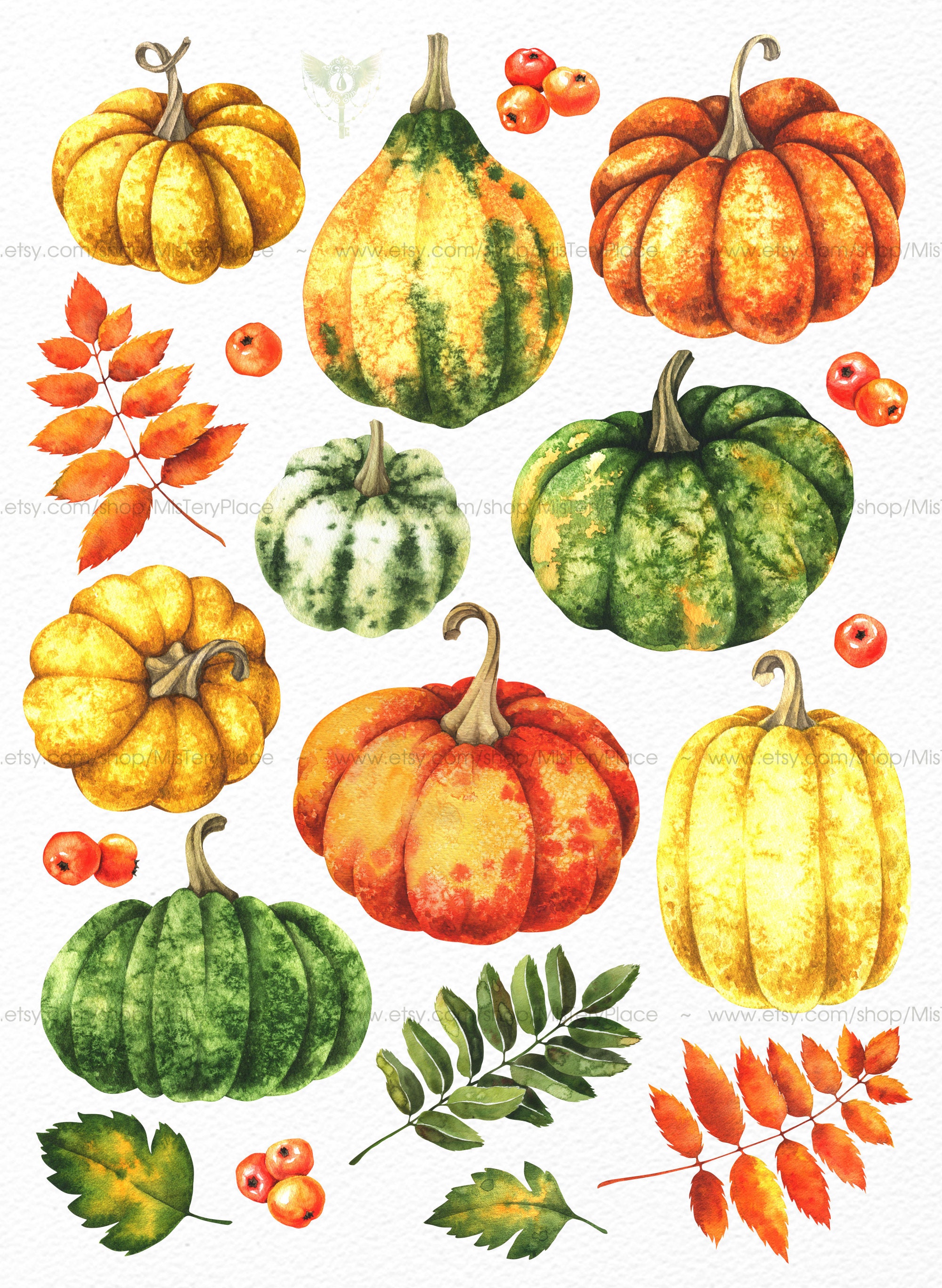 Watercolor Pumpkin PNG Clipart. Fall Clipart Hand Painted | Etsy