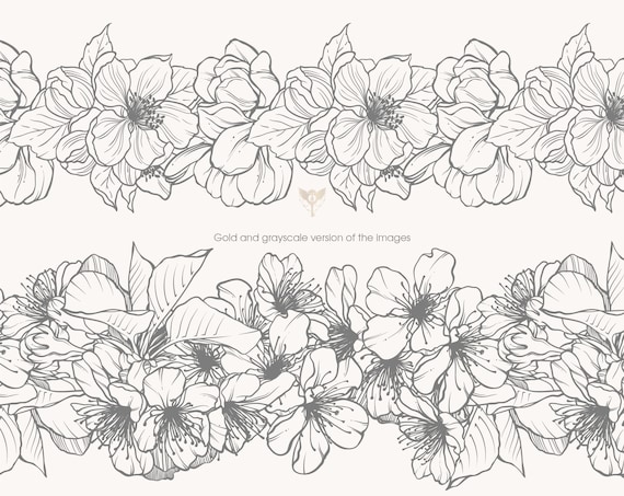 Spring Flowers Clip Art Black And White Borders