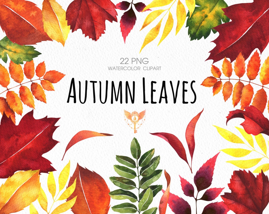 Fall Leaves PNG Clipart, Hand Painted Autumn Red and Orange Leaves - Etsy
