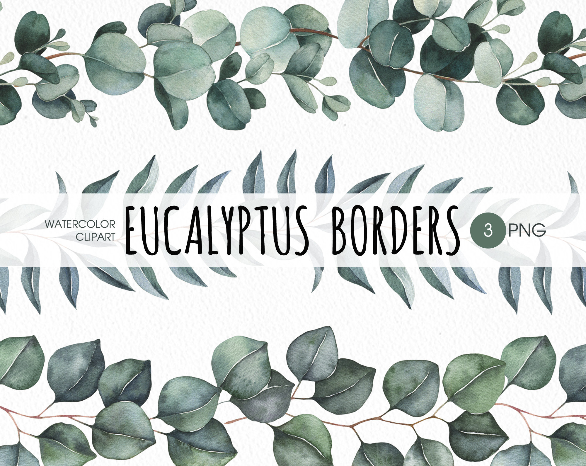 Eucalyptus Border PNG Clipart. Watercolor Eucalyptus Seamless - Etsy
