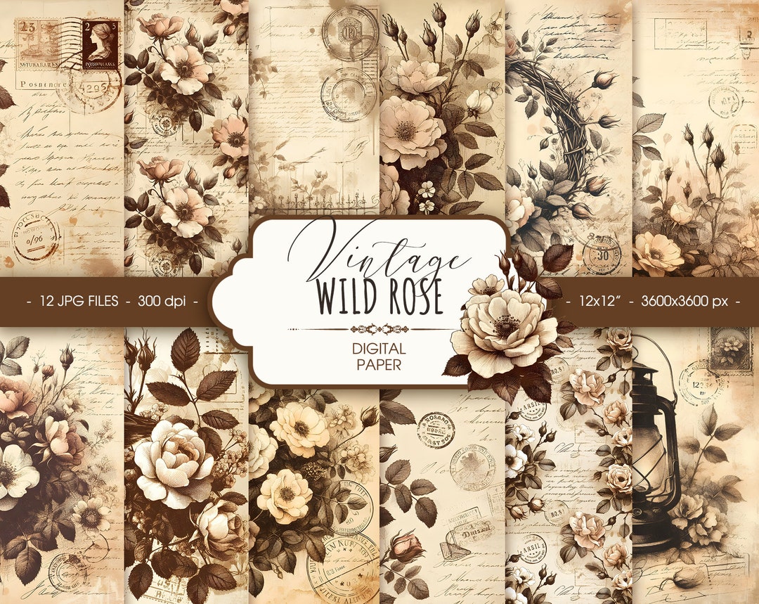 Vintage Rose Digital Paper, Retro Floral Sketch Scrapbook Paper, Grunge ...