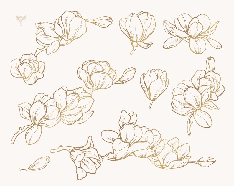 Gold Magnolia Flower Clipart. Floral Line Art PNG Clipart. - Etsy