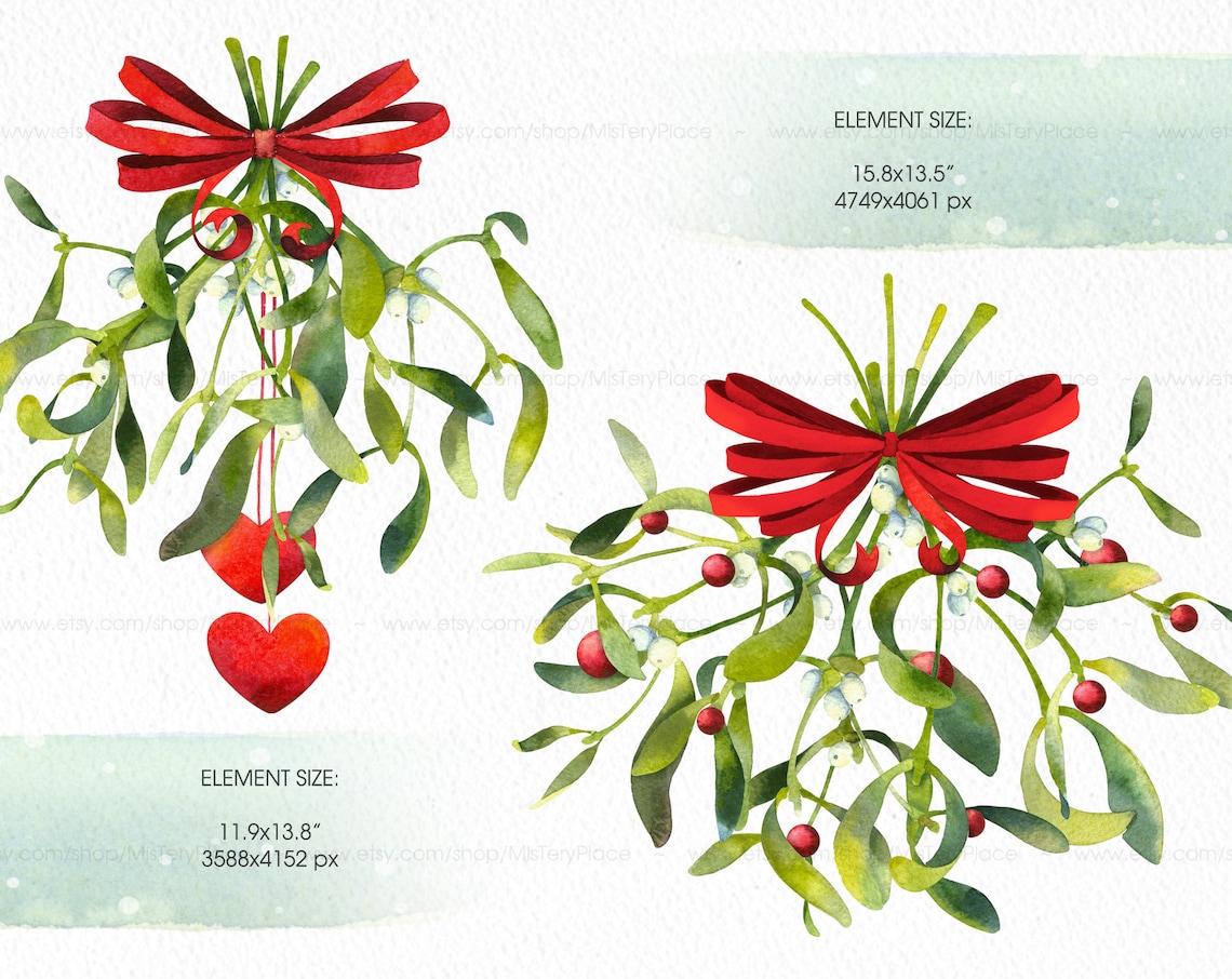 Mistletoe PNG Clipart. Christmas Mistletoe Watercolor Clipart | Etsy