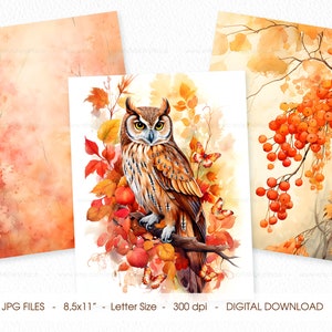 Fall Forest Digital Paper, Autumn Watercolor Scrapbook Paper, Fall ...