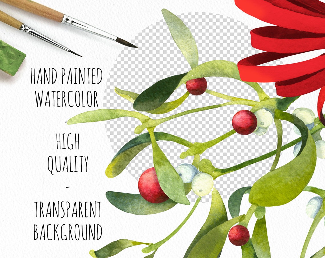 Mistletoe PNG Clipart. Christmas Mistletoe Watercolor Clipart - Etsy