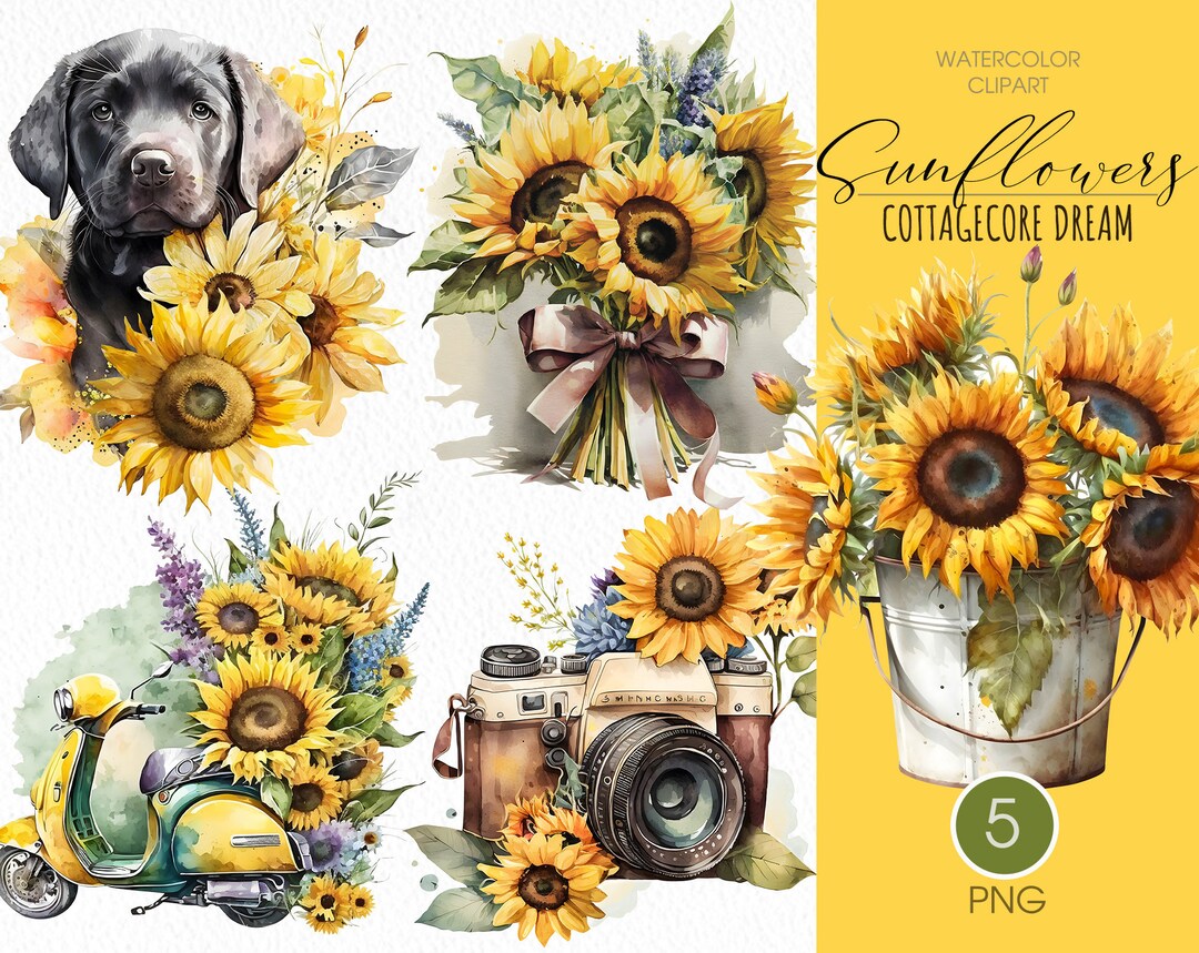 Sunflower PNG Clipart. Cottagecore Watercolor Clipart. - Etsy