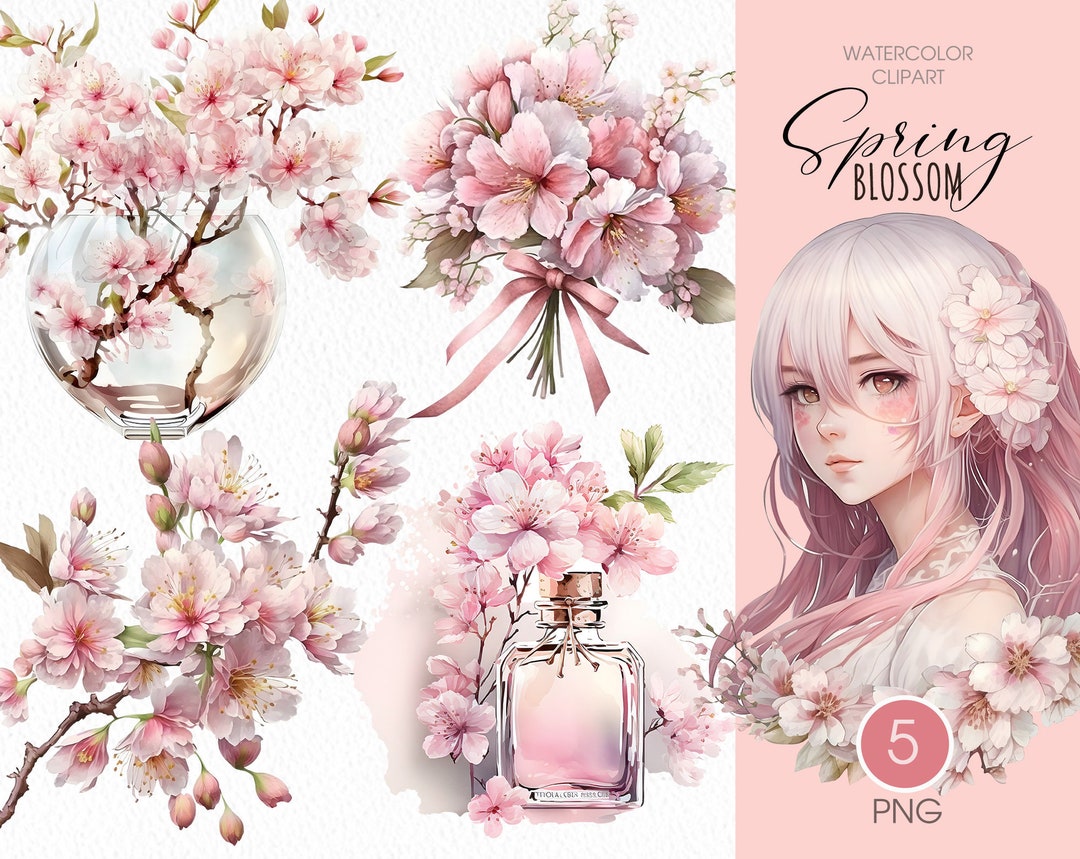 Cherry Blossom PNG Clipart. Sakura Flowers Watercolor Clipart. - Etsy
