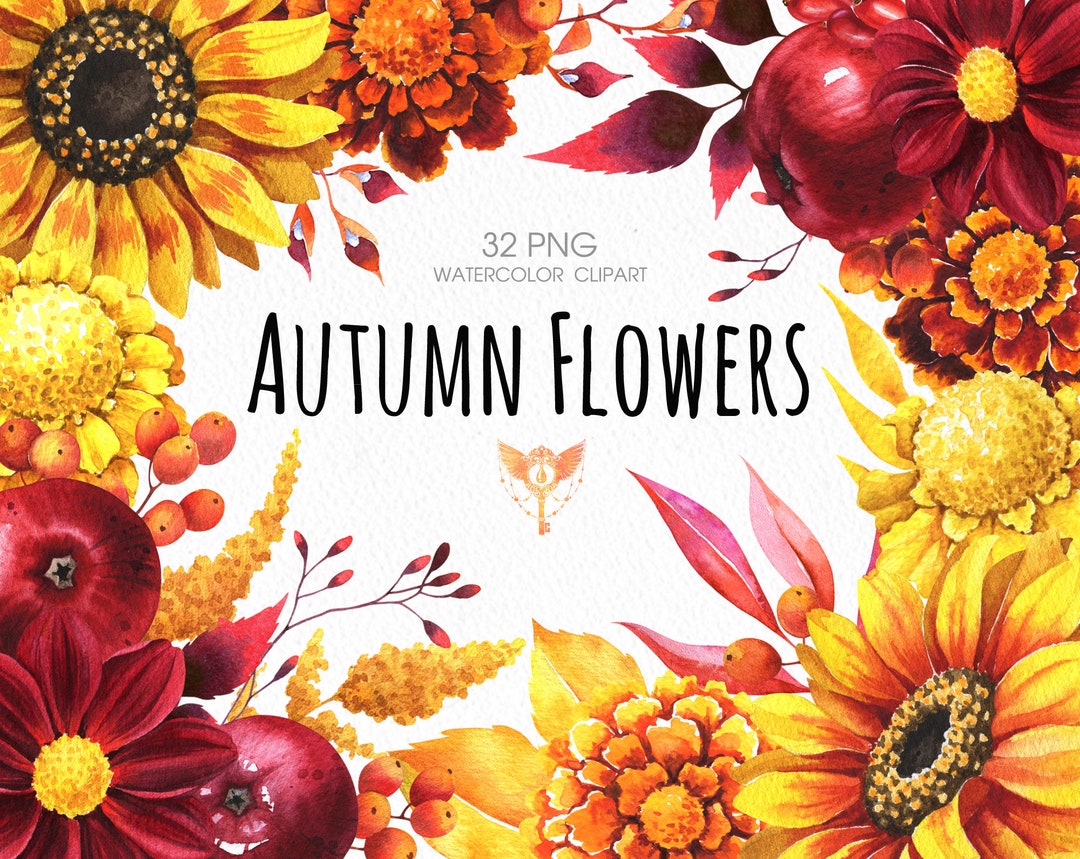 Autumn Flowers PNG Clipart. Watercolor Sunflower, Red Flower, Marigold ...
