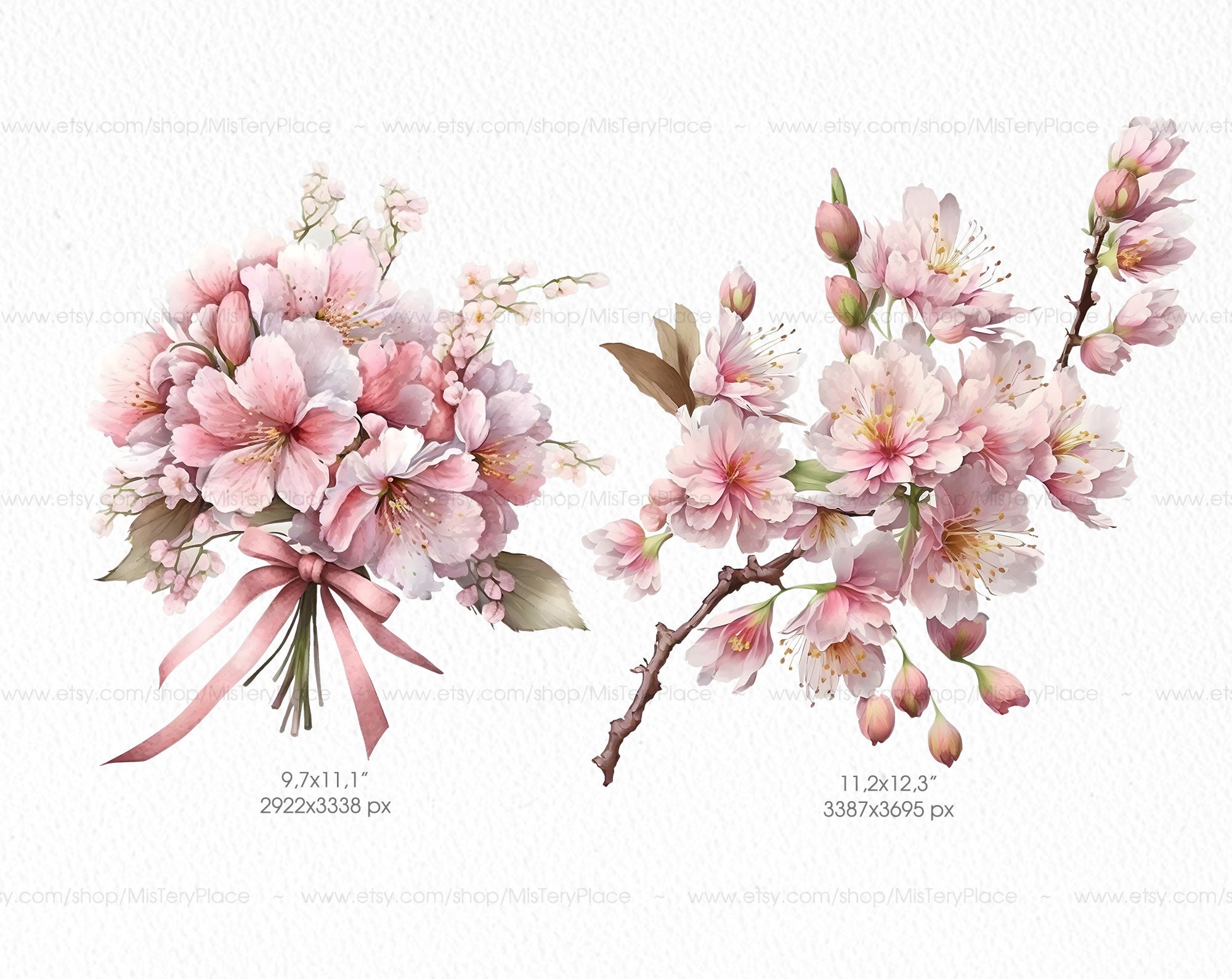 Cherry Blossom PNG Clipart. Sakura Flowers Watercolor Clipart. - Etsy