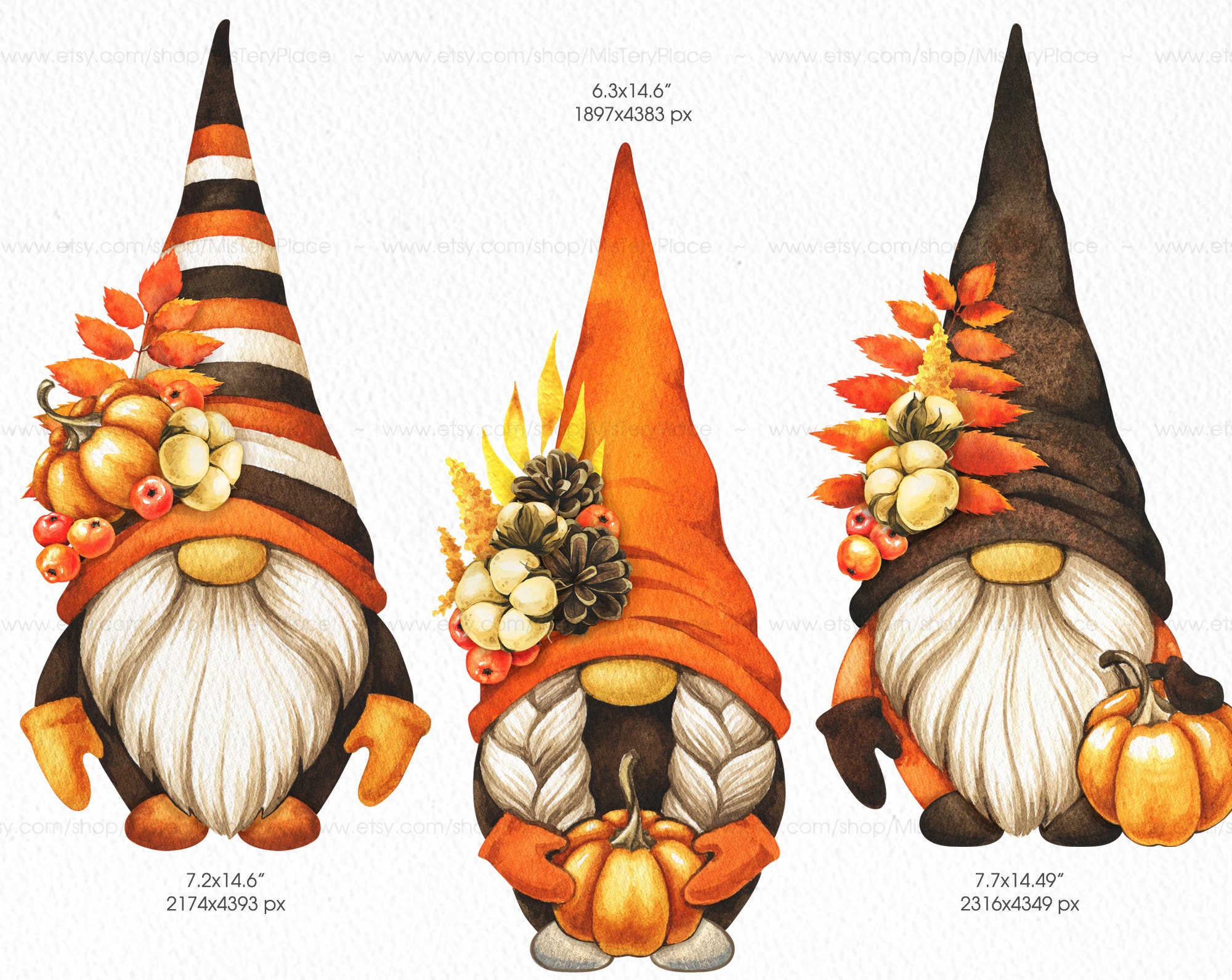 Thanksgiving Gnomes PNG Clipart. Watercolor Fall Gnome Cute - Etsy