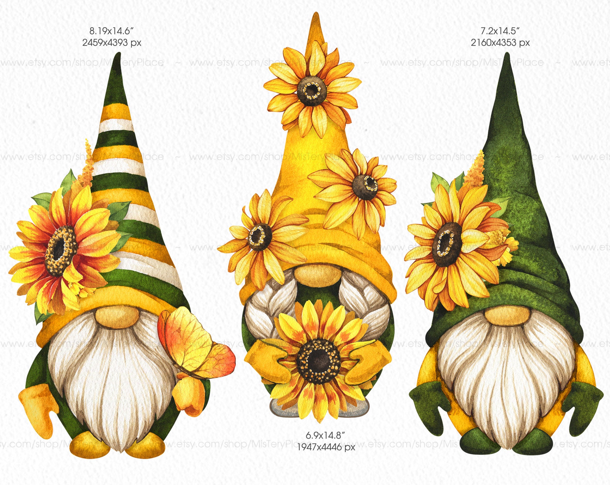 Sunflower Gnome PNG Clipart. Garden Gnome Cute Watercolor - Etsy Canada