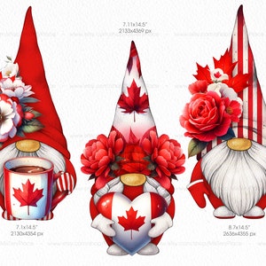 Canada Gnome PNG Clipart. Canadian Flag Gnome Watercolor Clipart ...