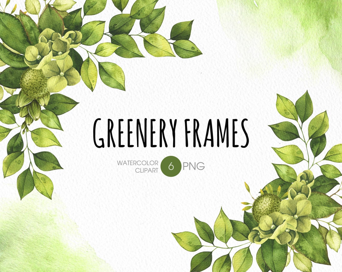 Greenery borders and frames PNG clipart. Watercolor greenery | Etsy