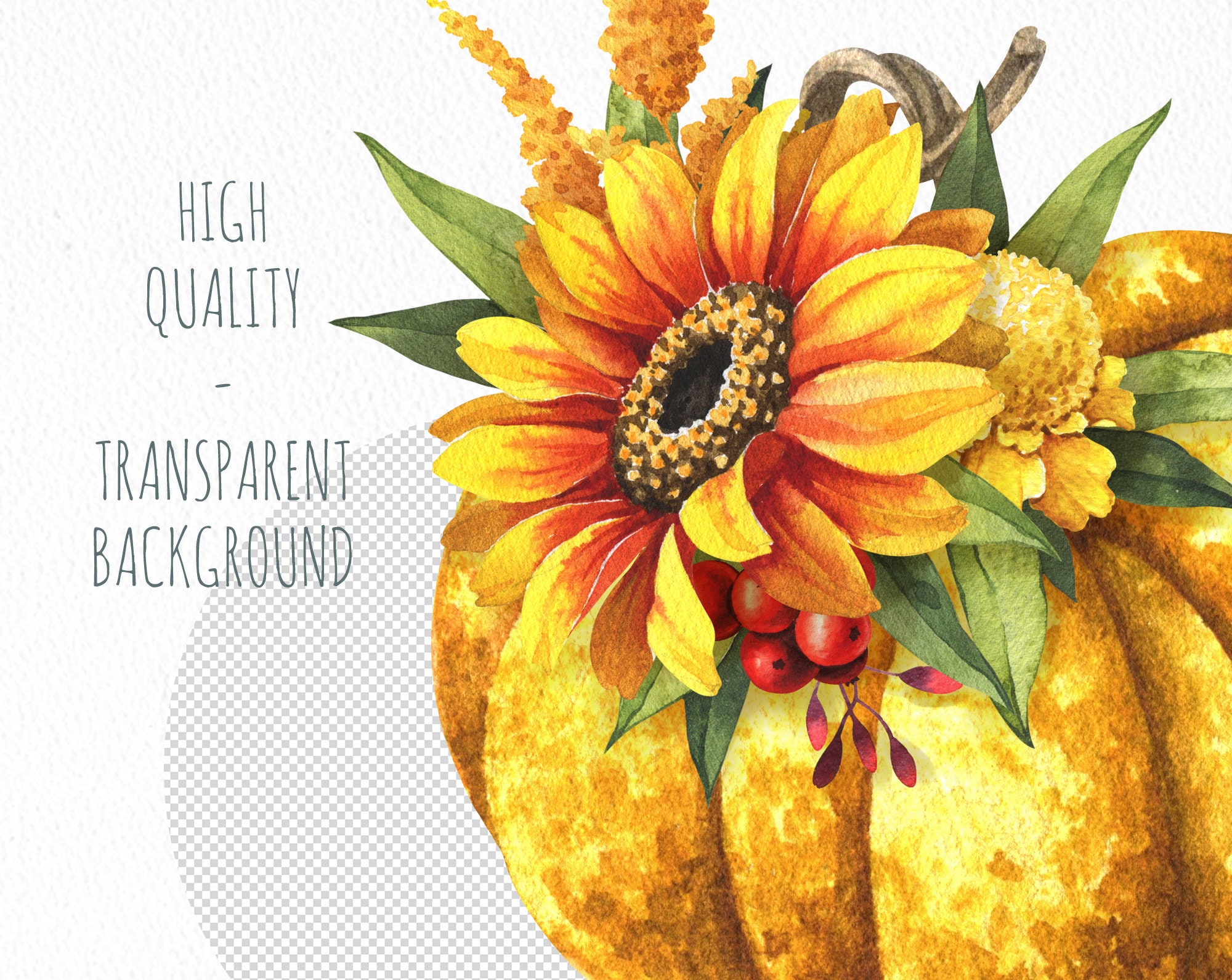 Fall Pumpkin PNG Clipart. Hand Painted Pumpkins and Flowers - Etsy