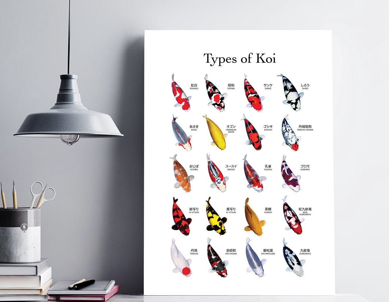 Printable Poster Types of Koi: Koi Fish Species Guide With Japanese ...