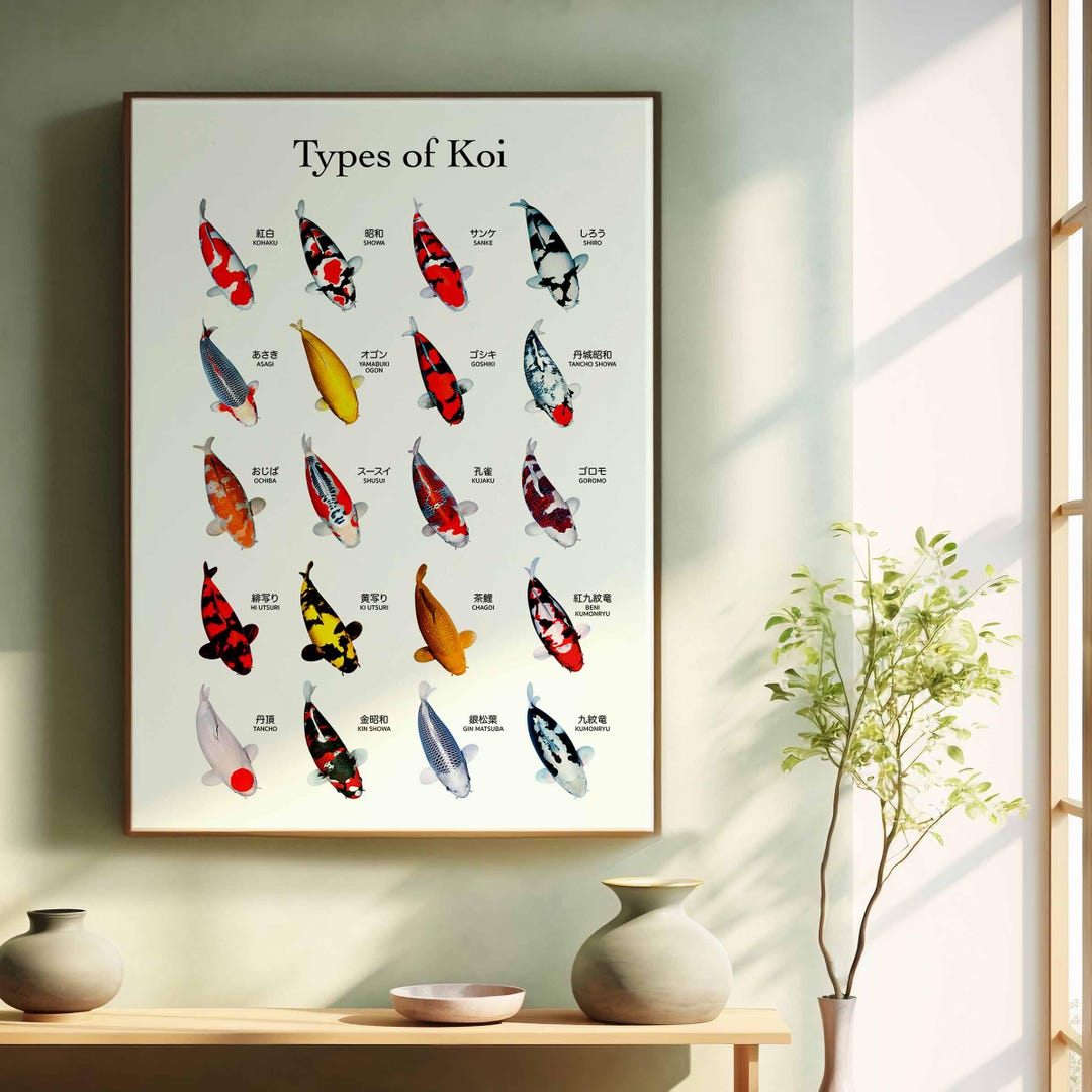 Printable Poster Types of Koi: Koi Fish Species Guide With Japanese ...