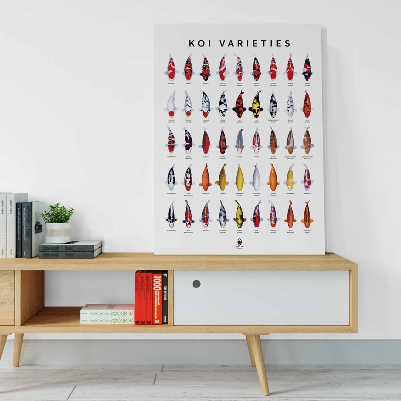Koi Print - Etsy