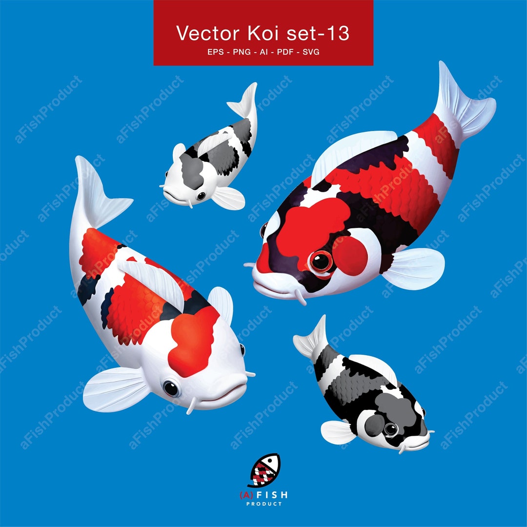 Koi Fish Digital Art Bundle - Etsy