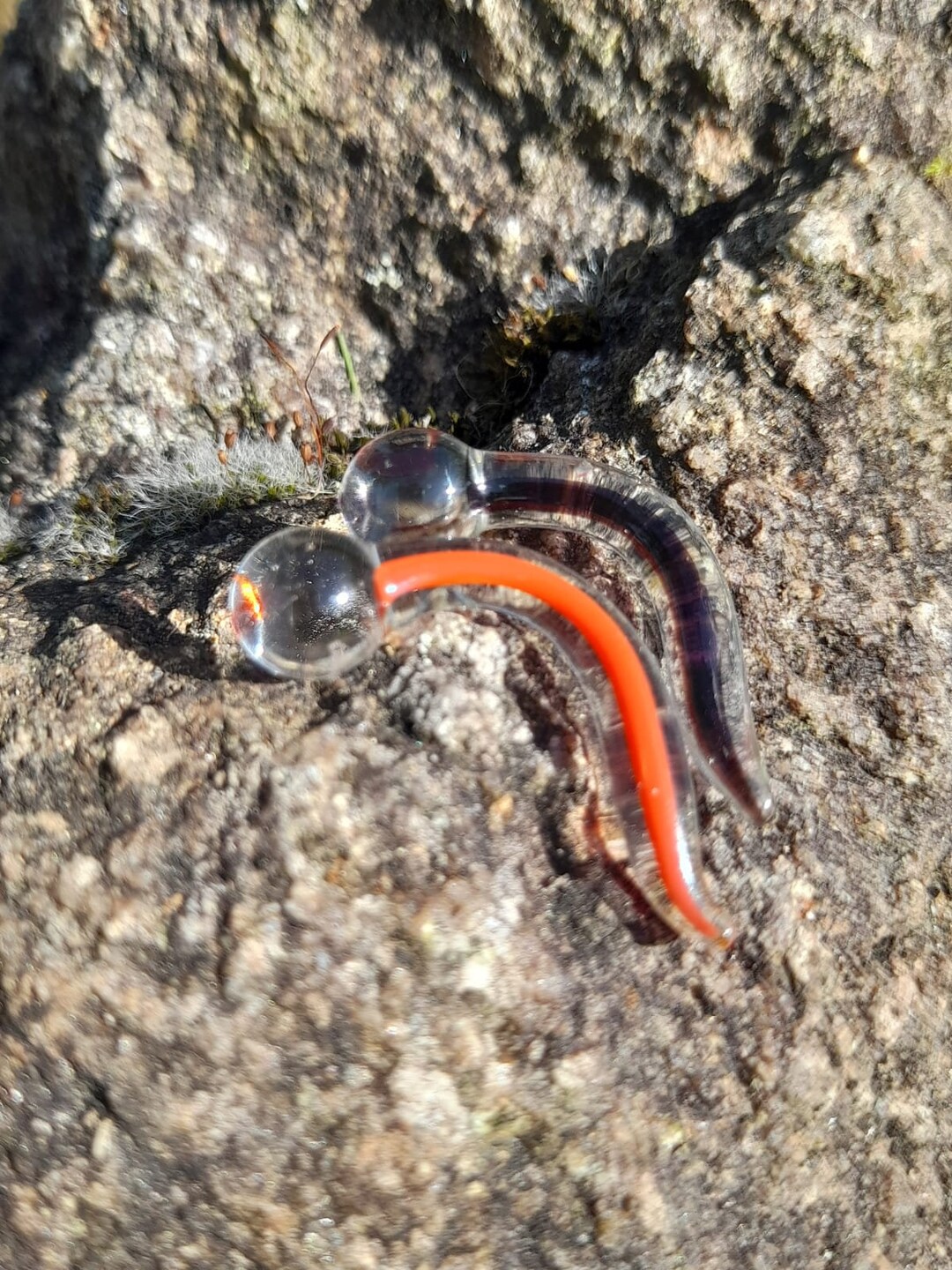 Transparent Glass Conch Spikes. Ready to Ship. - Etsy