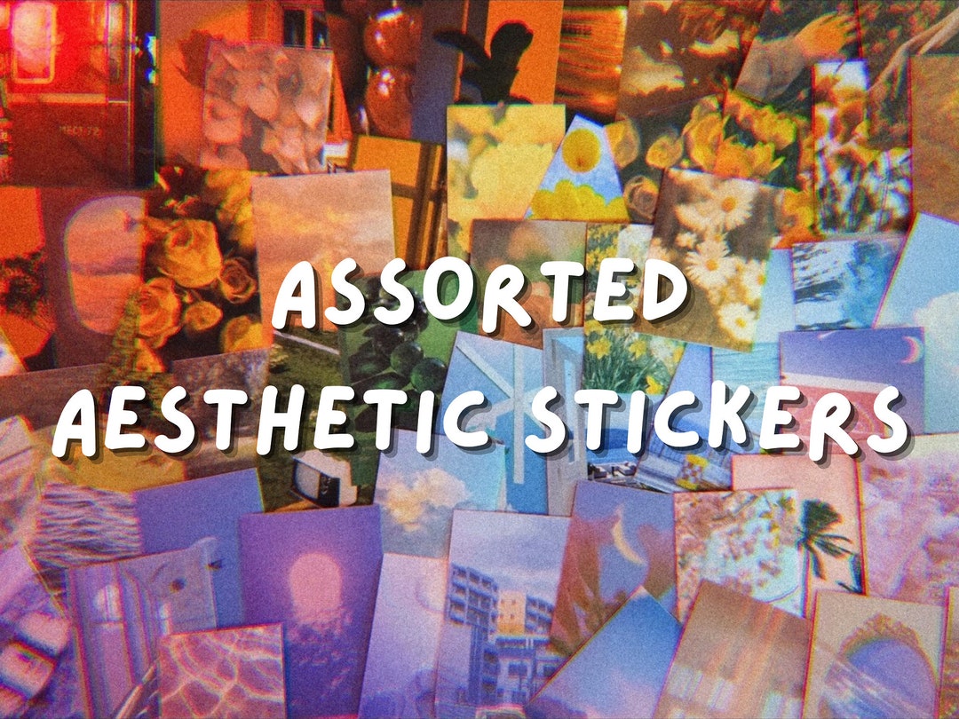 Assorted Aesthetic Sticker Grab Bag - Etsy