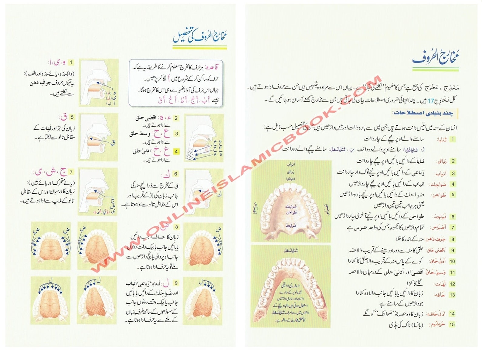 Qurani Qaida or Noorani Qaida urdu Language by Muhammad - Etsy