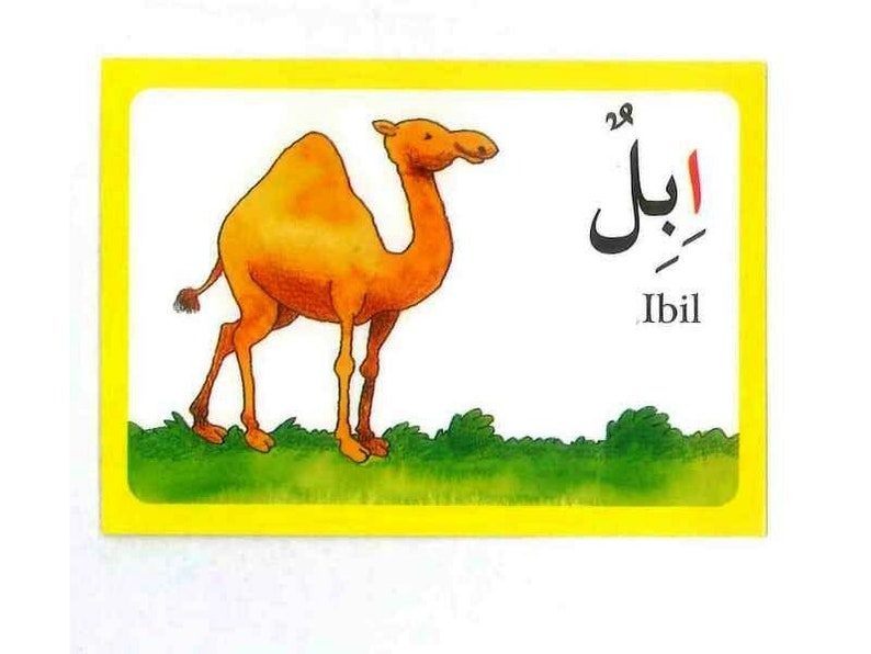 Arabic Alphabet Flash Cards - Etsy