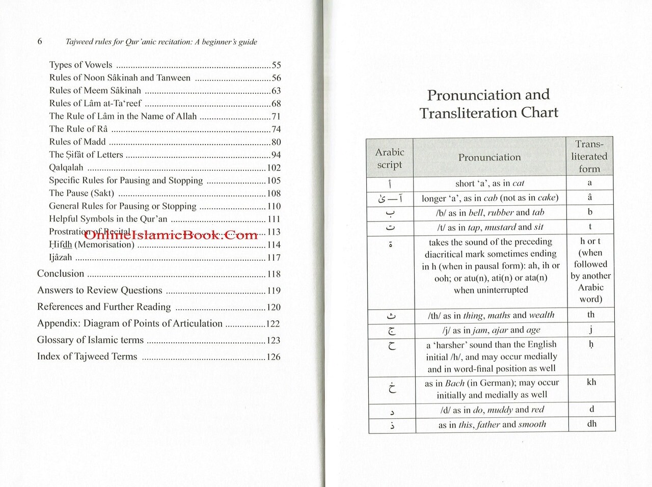 Tajweed Rules for Qur'anic Recitation: A Beginner's Guide - Etsy