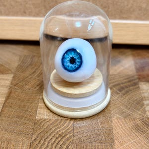 Complete Round Polymer Eye, Acrylic Doll Eye, Blue Eye Ball, Realistic ...