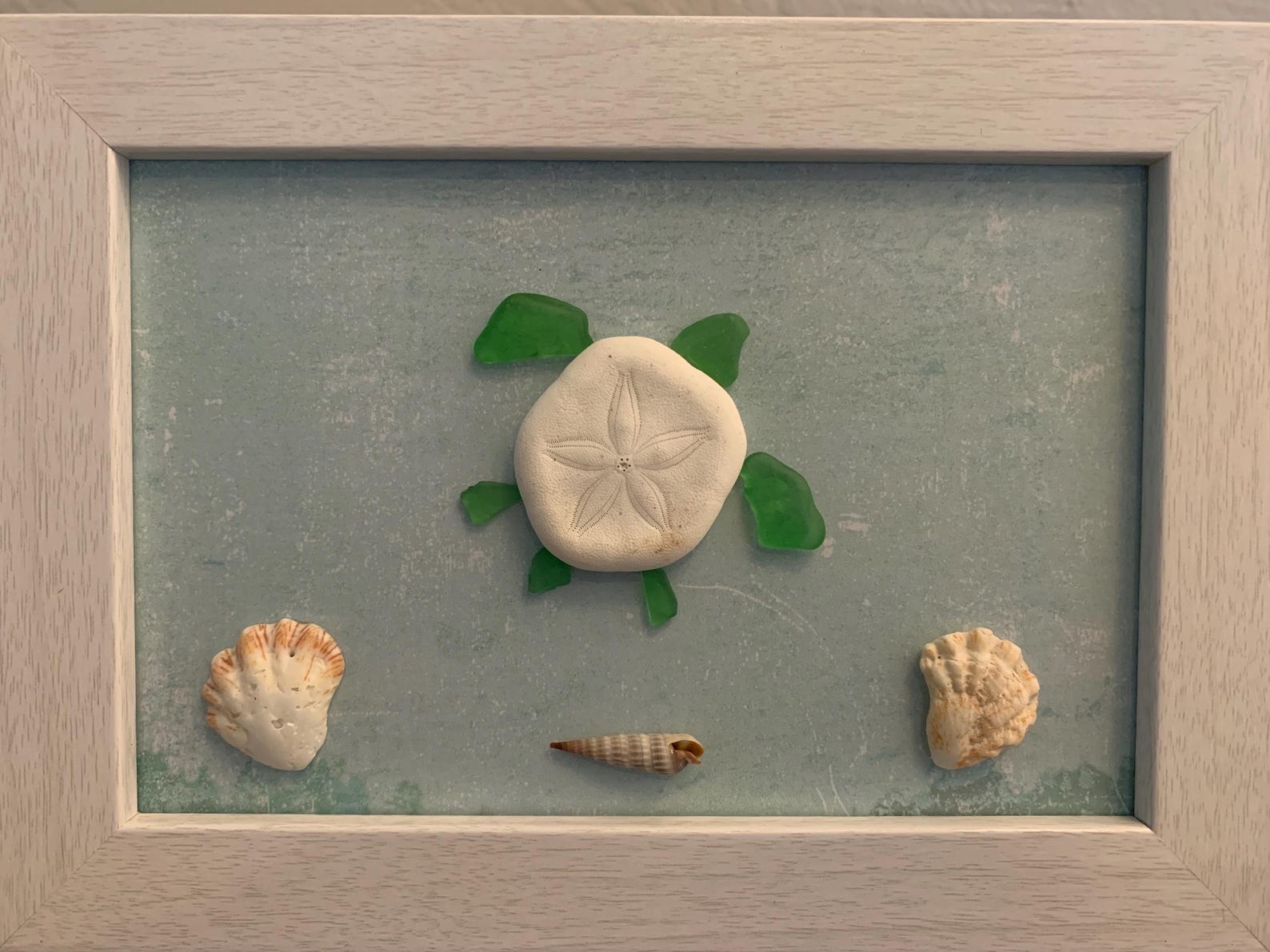 Sea Glass Turtle, Sea Turtle Art, Sea Biscuit Art, Sea Shell Art - Etsy