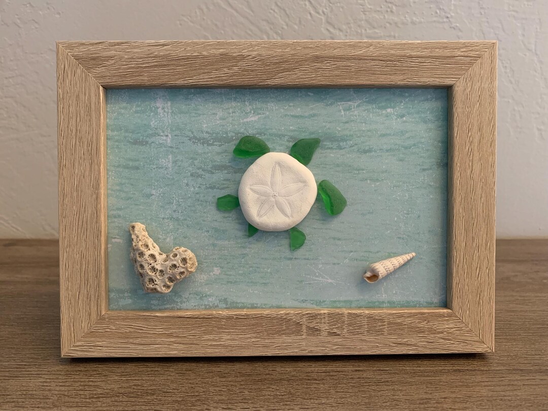 Sea Glass Turtle, Sea Turtle Art, Sea Biscuit Turtle, Sea Shell Art - Etsy