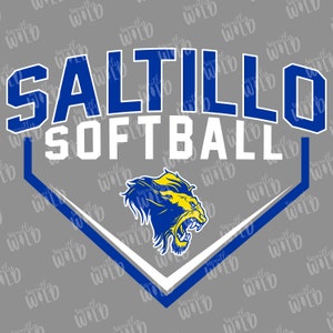 PNG - CUSTOM Softball Team Spirit Swoosh Shirt Design - Spring Ball ...